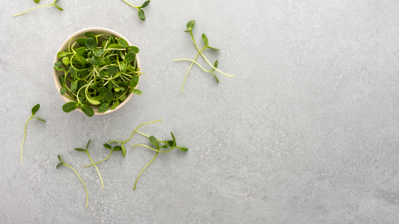 Micro-pousse – Espace local